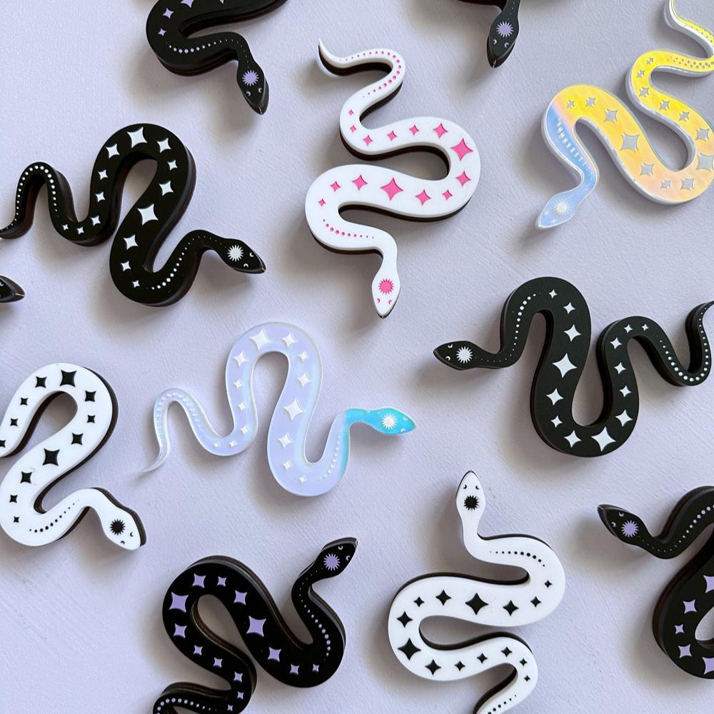 Large Snake Magnet Gift | Stash World Australia